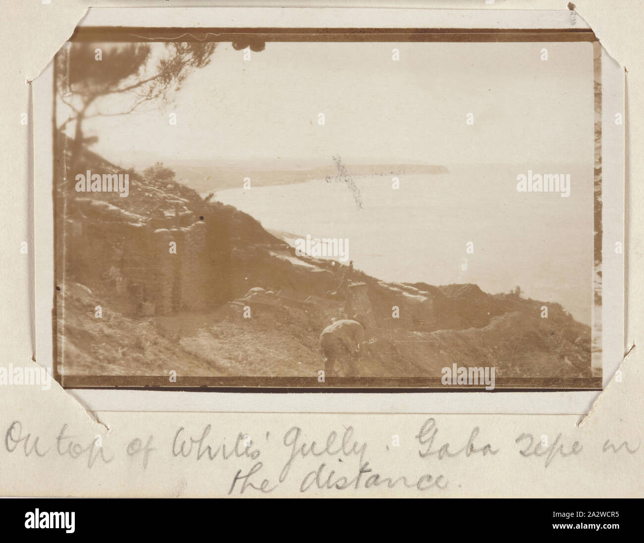 Photograph - 'On Top of White's Gully', Gallipoli, Turkey, Private John ...