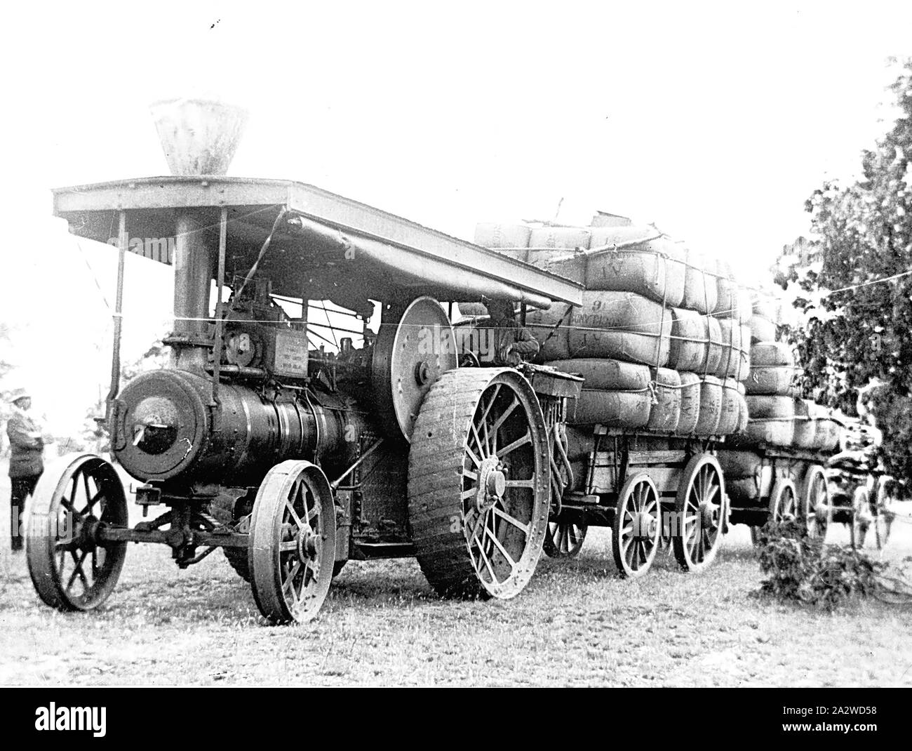 Negative - Balmoral District, Victoria, 1910, A steam traction engine ...