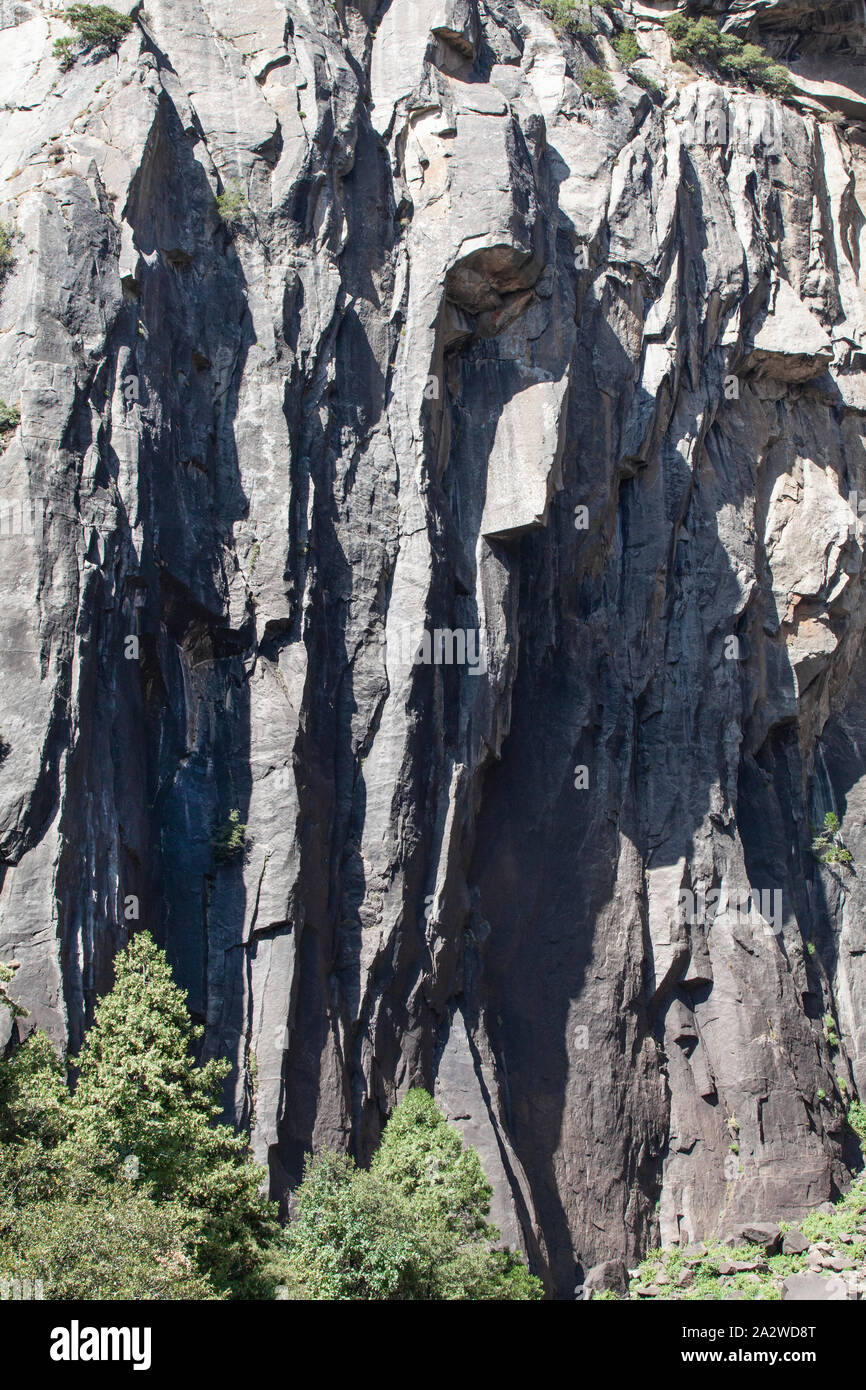 Granite formations and natural growth in Yosemite Valley in California ...