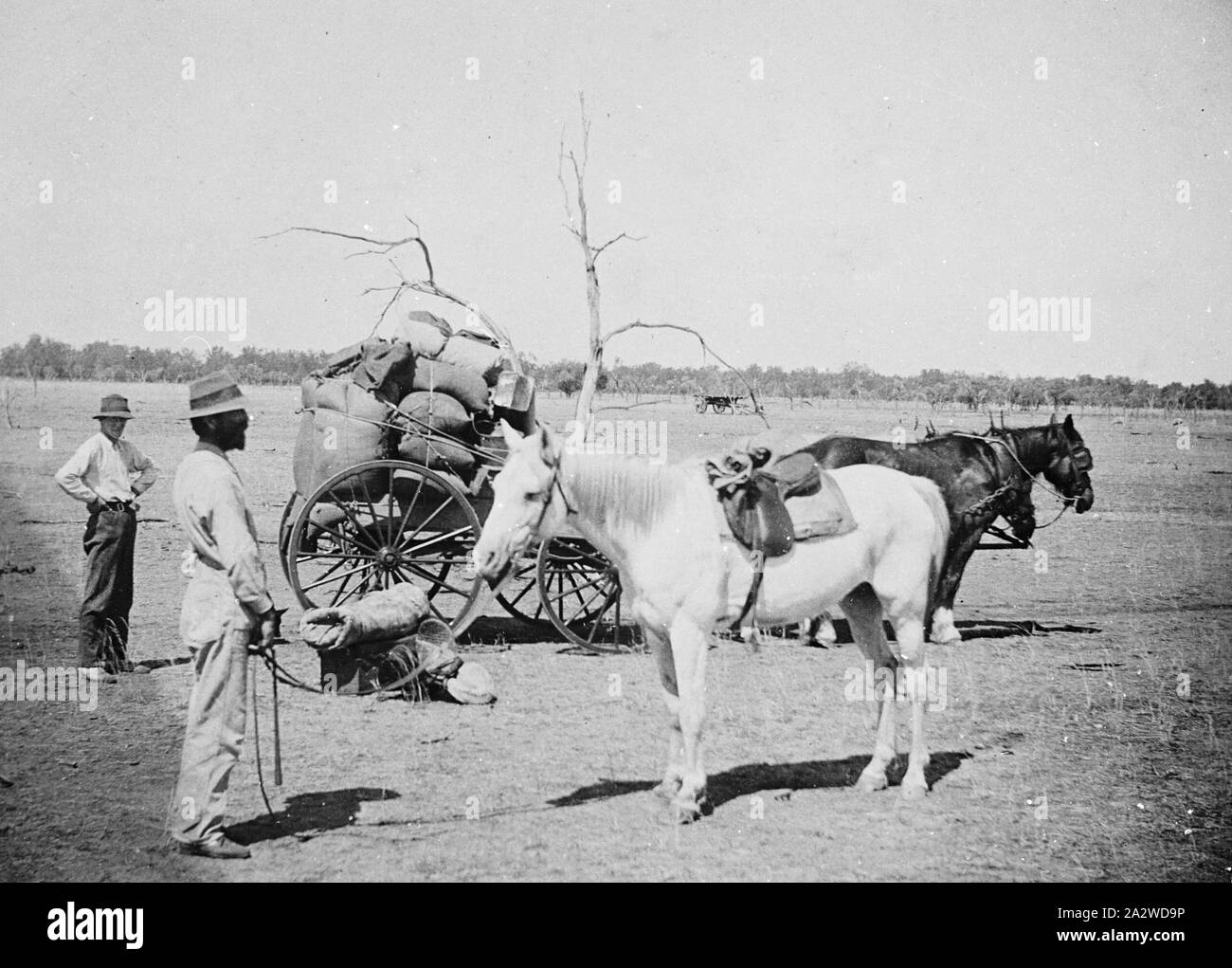 Negative - Gunbar District, New South Wales, 1912, Drovers with their ...