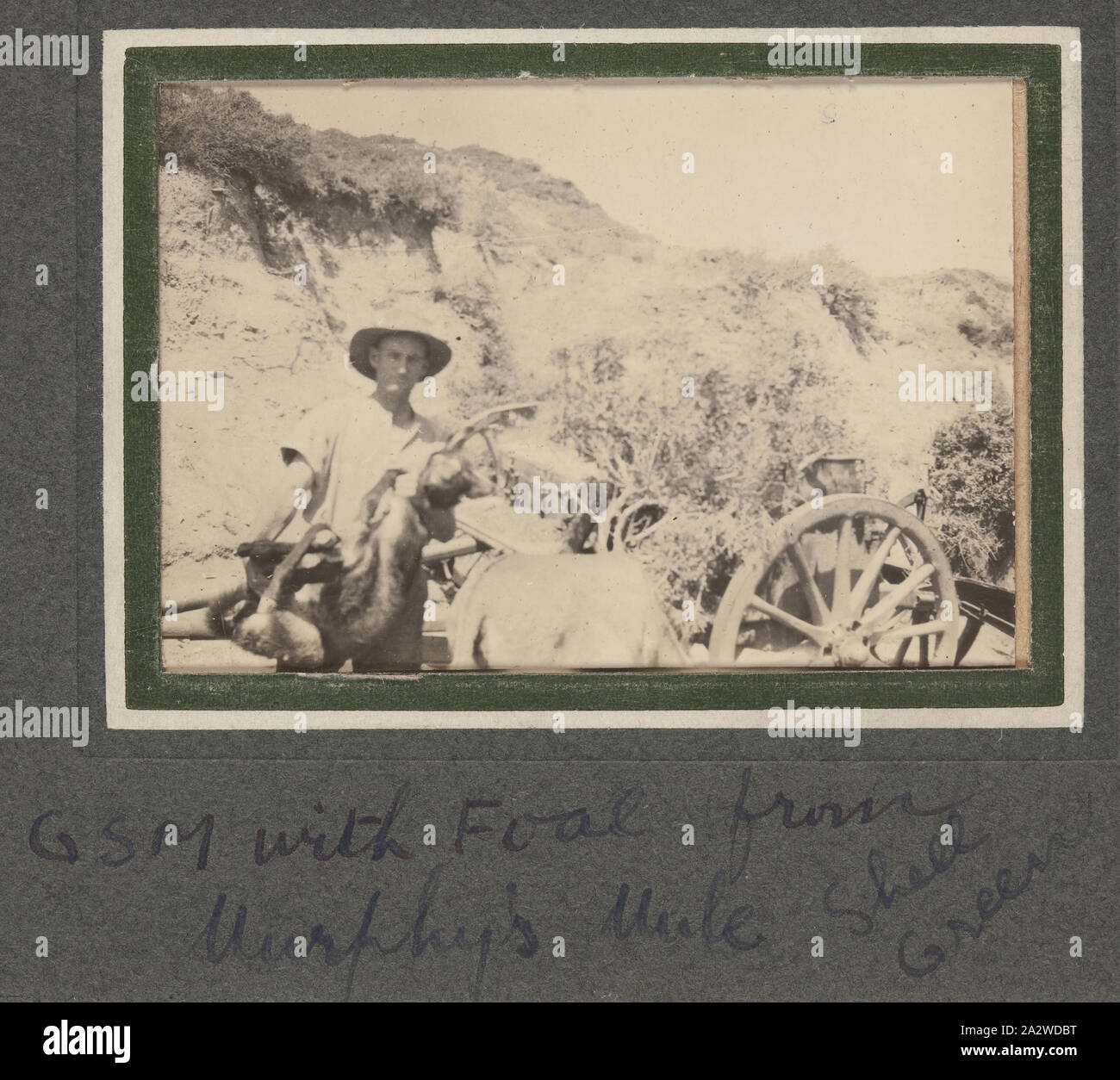 George shell hi-res stock photography and images - Alamy