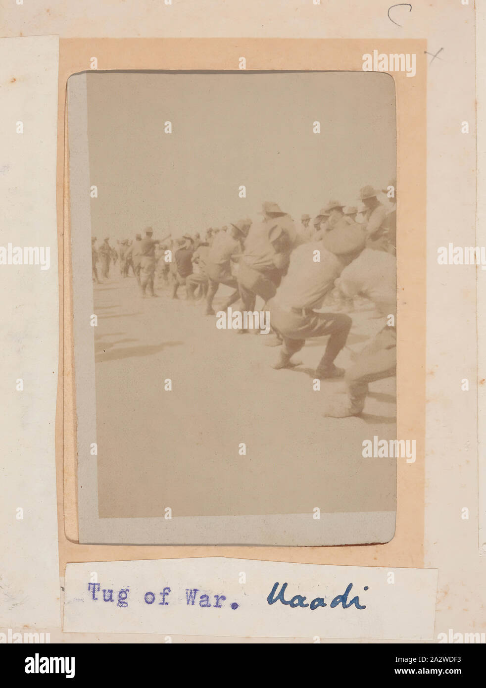 Photograph - 'Tug of War', Egypt, Trooper G.S. Millar, World War I ...
