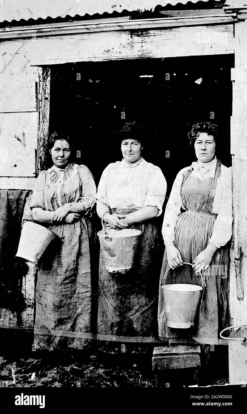 Negative - Women At The Dairy, Malvern, Victoria, circa 1905, Three ...
