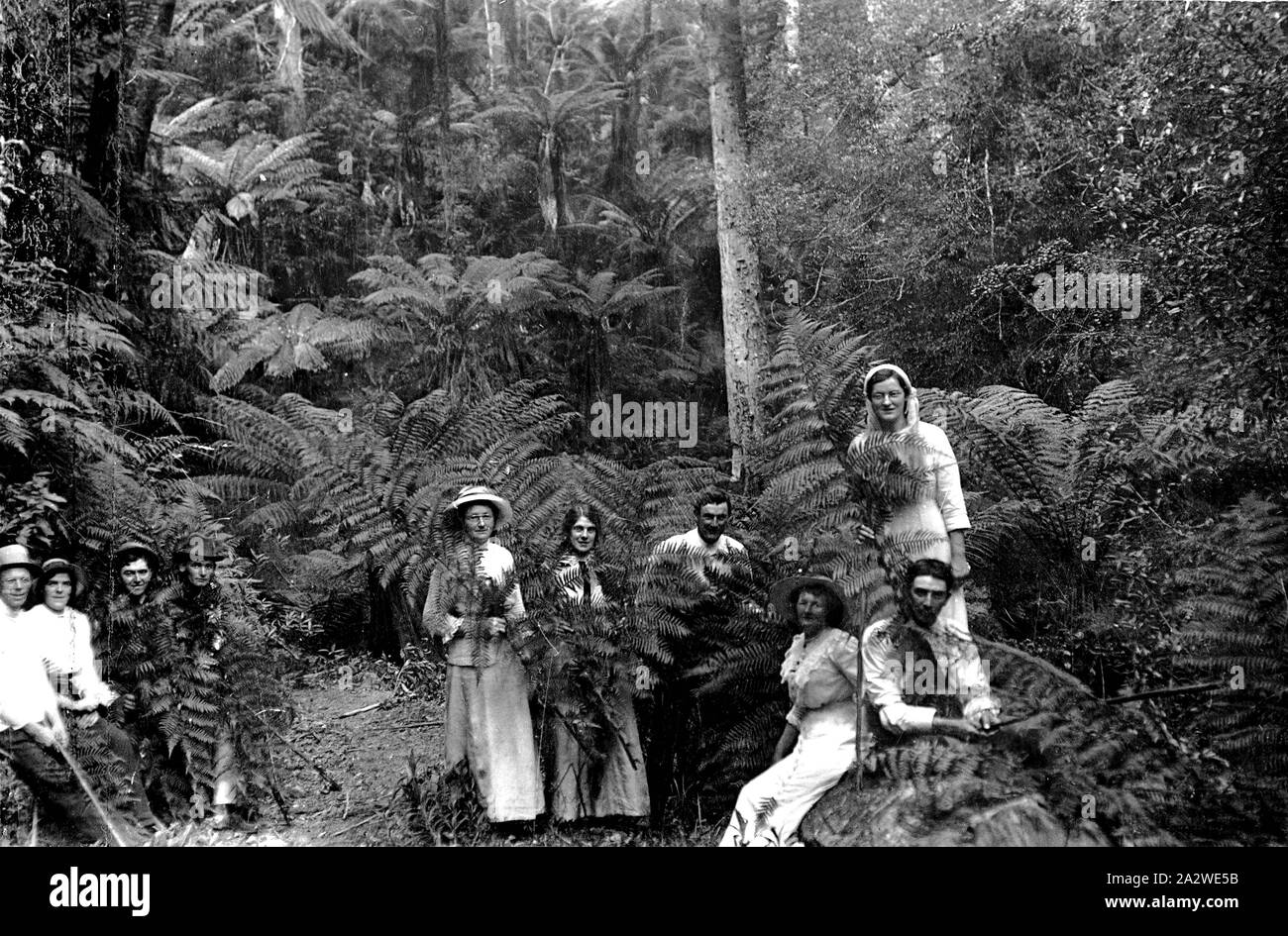 Negative - Balook, Victoria, circa 1915, People in a fern gully at ...