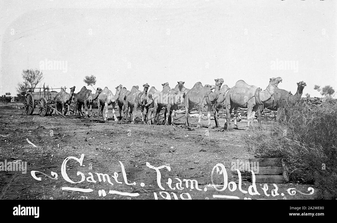 Trans australian railways hi-res stock photography and images - Alamy