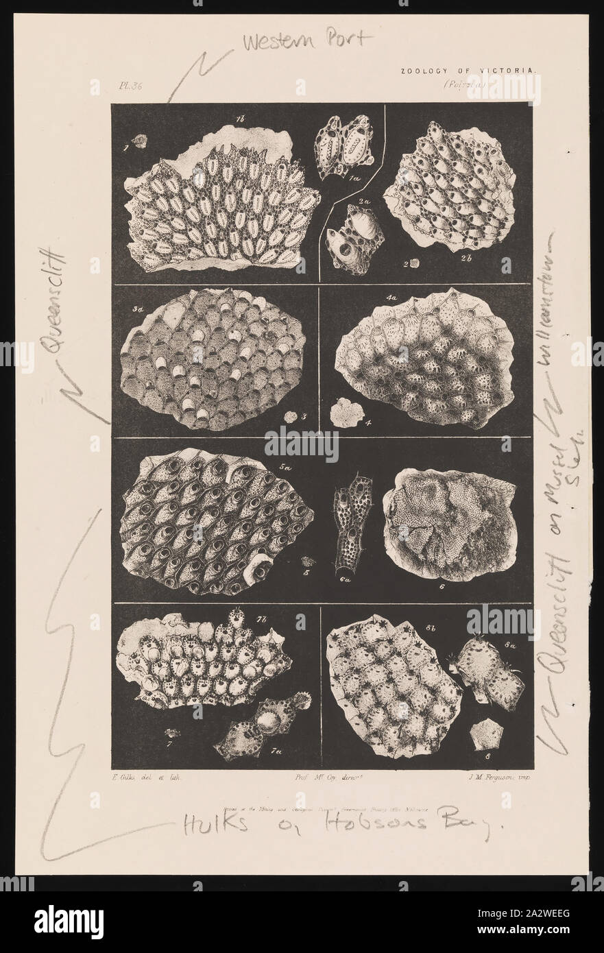 Ink annotations hi-res stock photography and images - Alamy