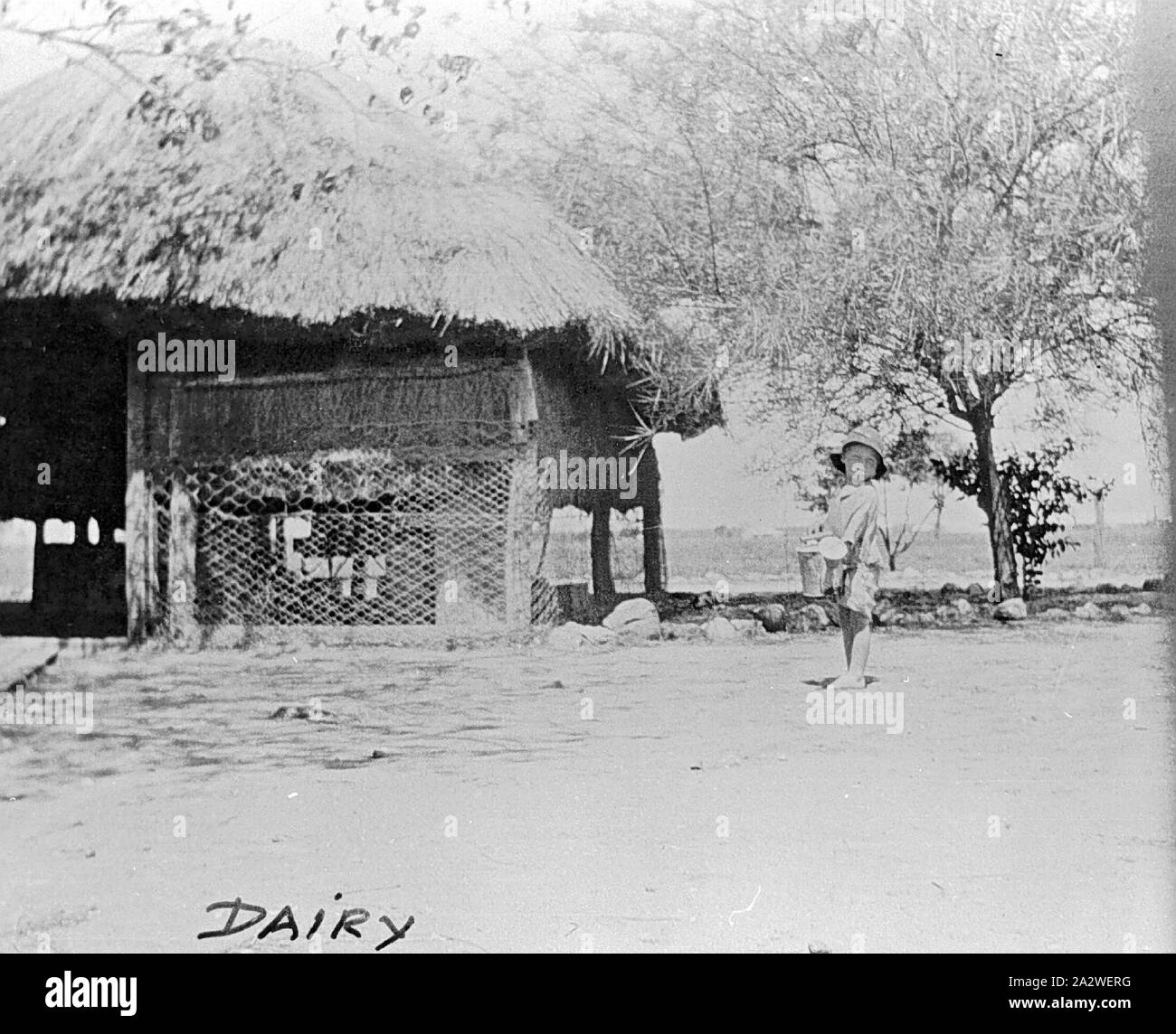 Negative - 'Dairy', Portland Downs Station, Isisford District ...