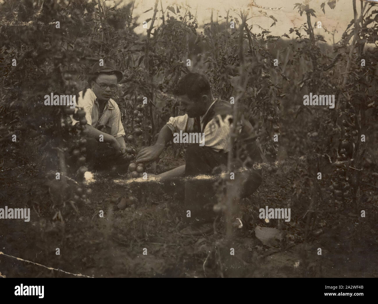 Bonegilla migrant camp hi-res stock photography and images - Alamy