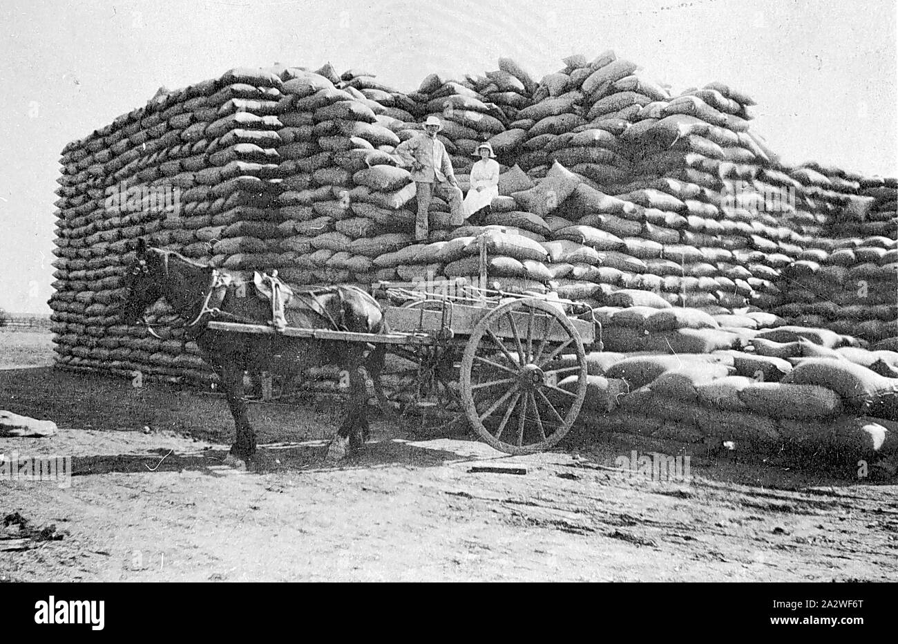 Negative - Raywood, Victoria, circa 1925, A man and a woman posed on a ...