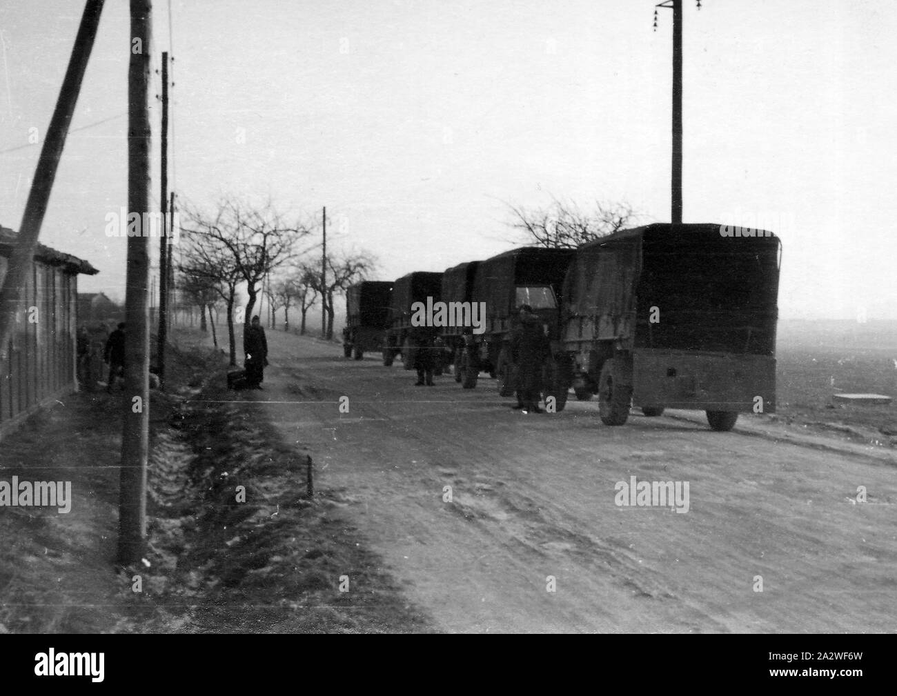 Digital Photograph - Displaced Persons Arriving by Truck, Displaced ...
