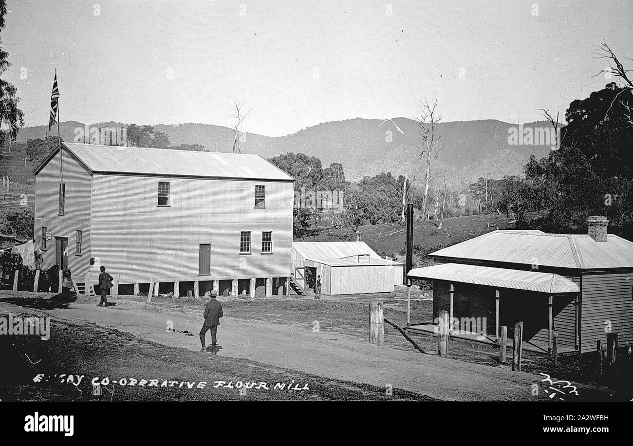 Negative - Ensay, Victoria, 1911, The Ensay Cooperative Flour Mill ...