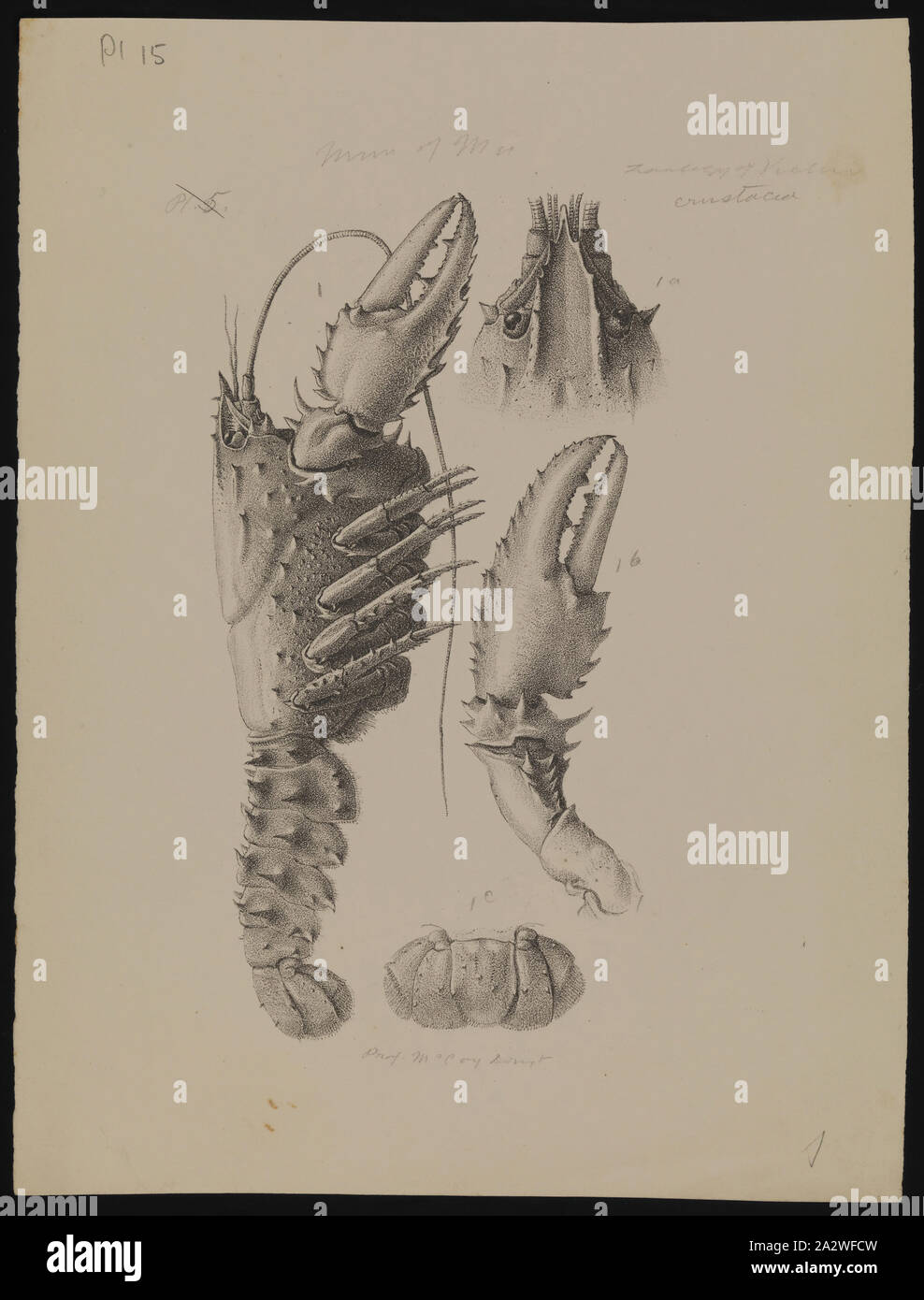 Lithographic single colour proof hi-res stock photography and images ...