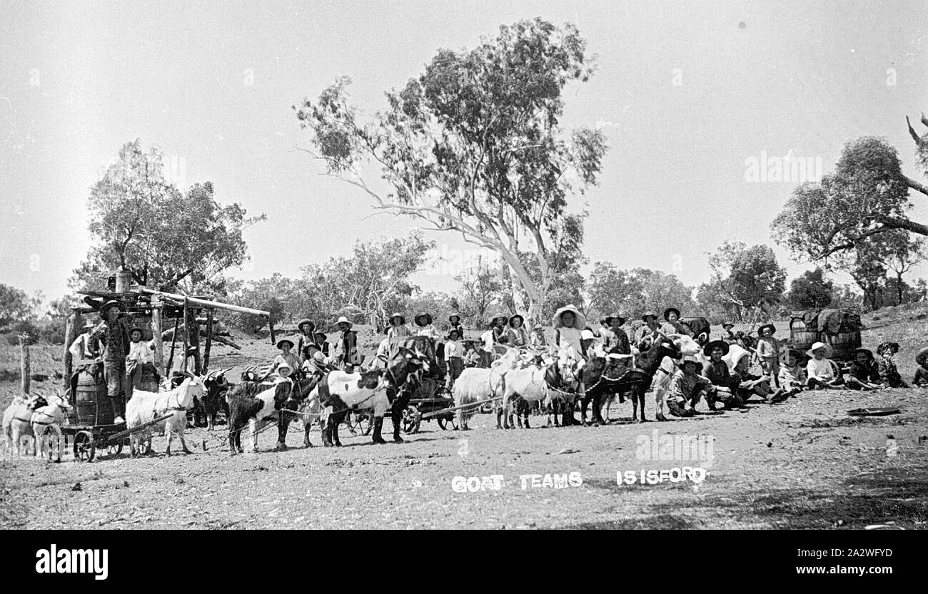Negative - 'Goat Teams', Isisford, Queensland, circa 1915, Children ...