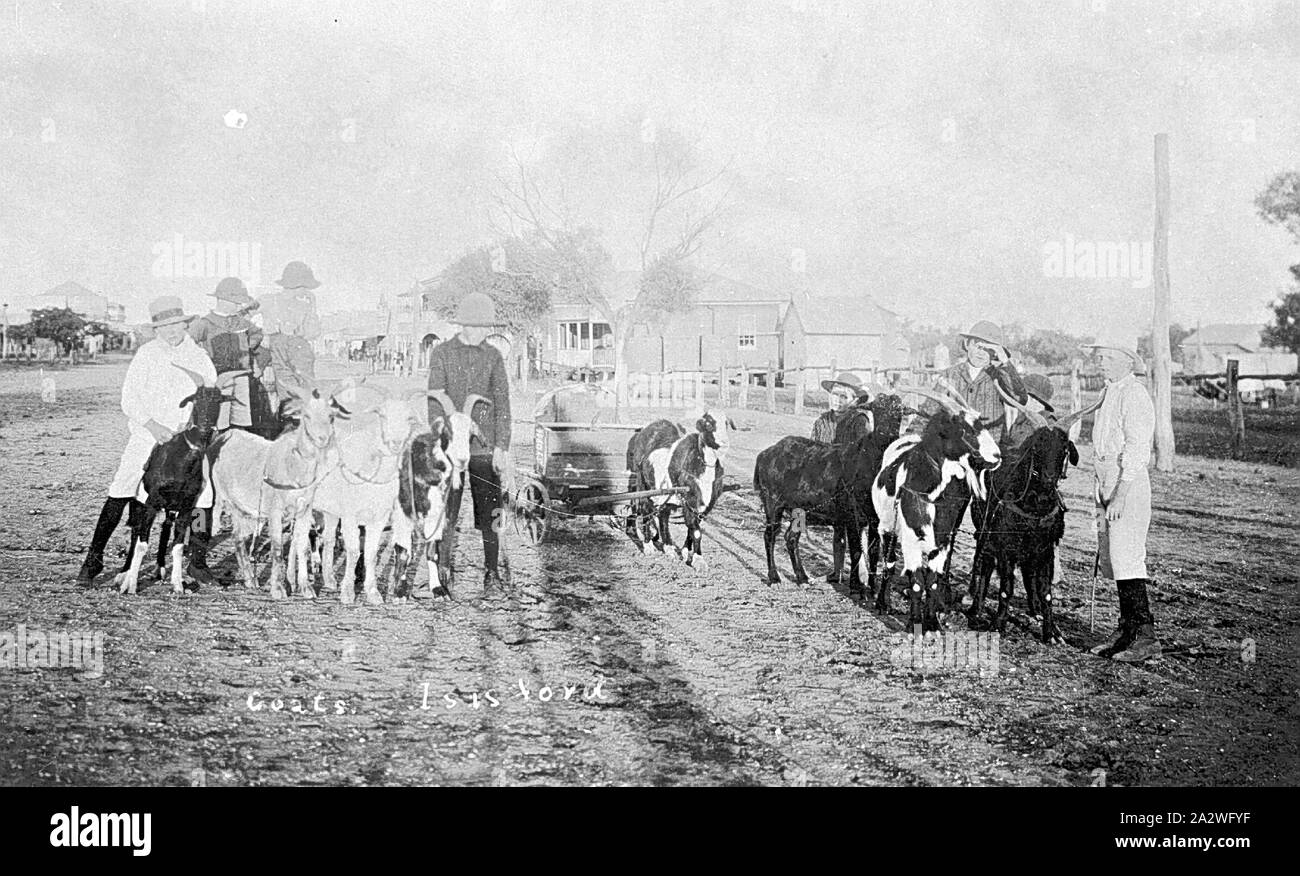 Negative - 'Goats', Isisford, Queensland, circa 1915, A group of boys ...