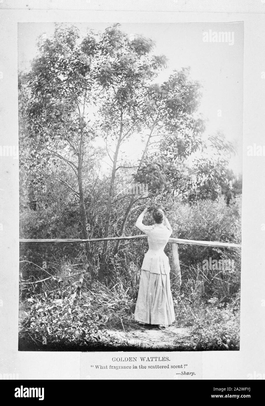 1890 a hi-res stock photography and images - Alamy