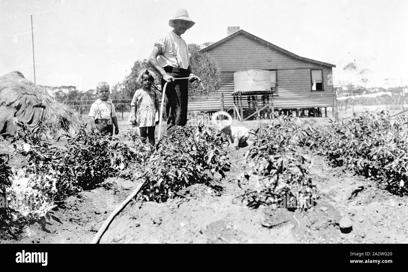 1930 farm hi-res stock photography and images - Alamy