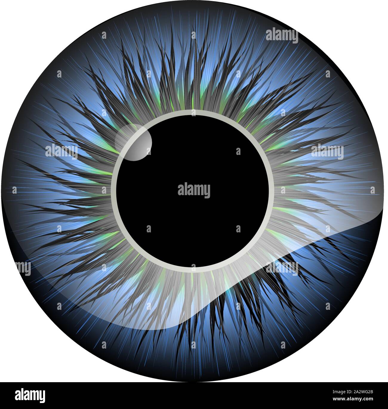 Victorian ball illustration Stock Vector Images - Alamy