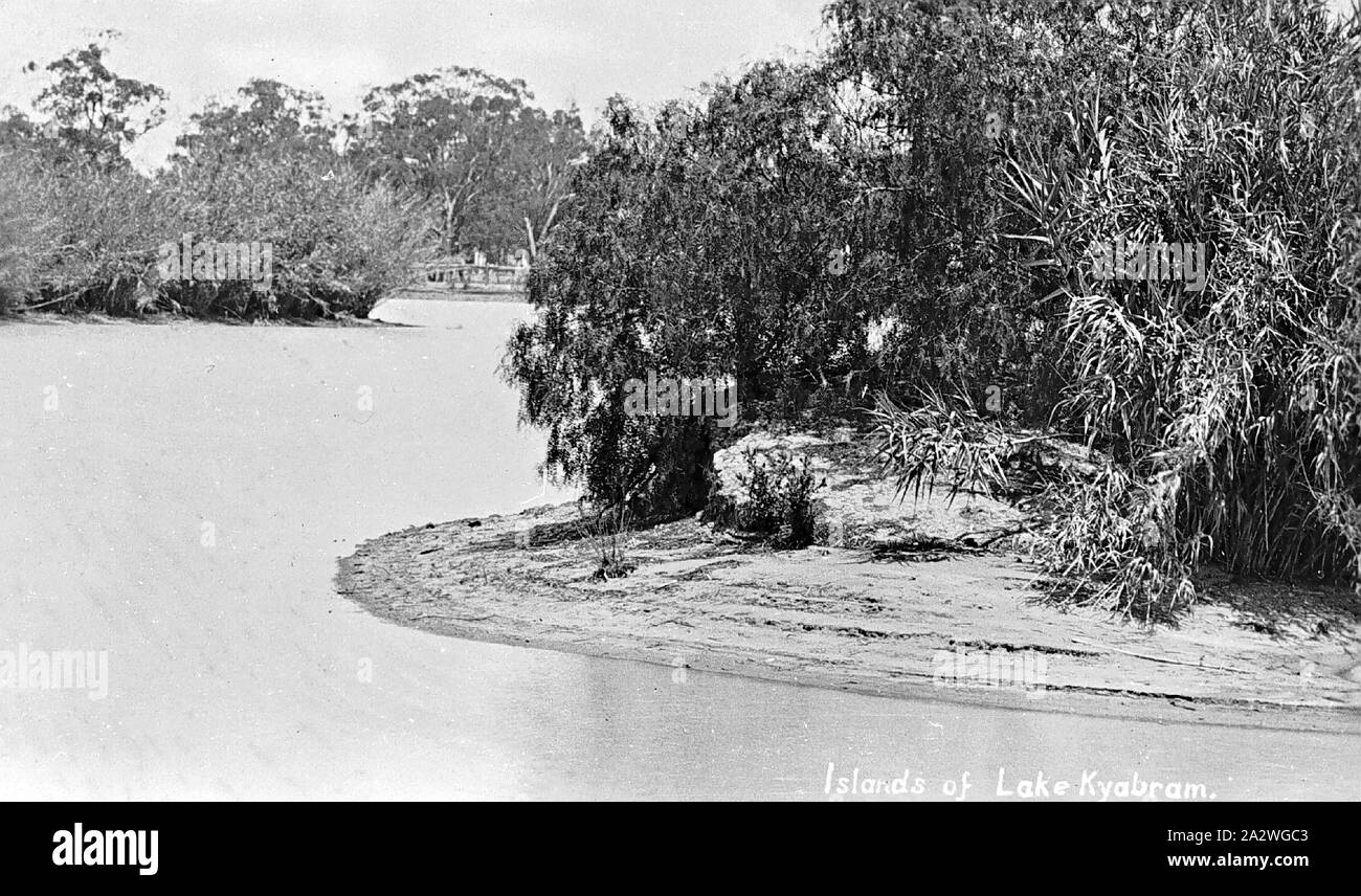 Negative - 'Islands of Lake Kyabram', Kyabram, Victoria, circa 1915 ...