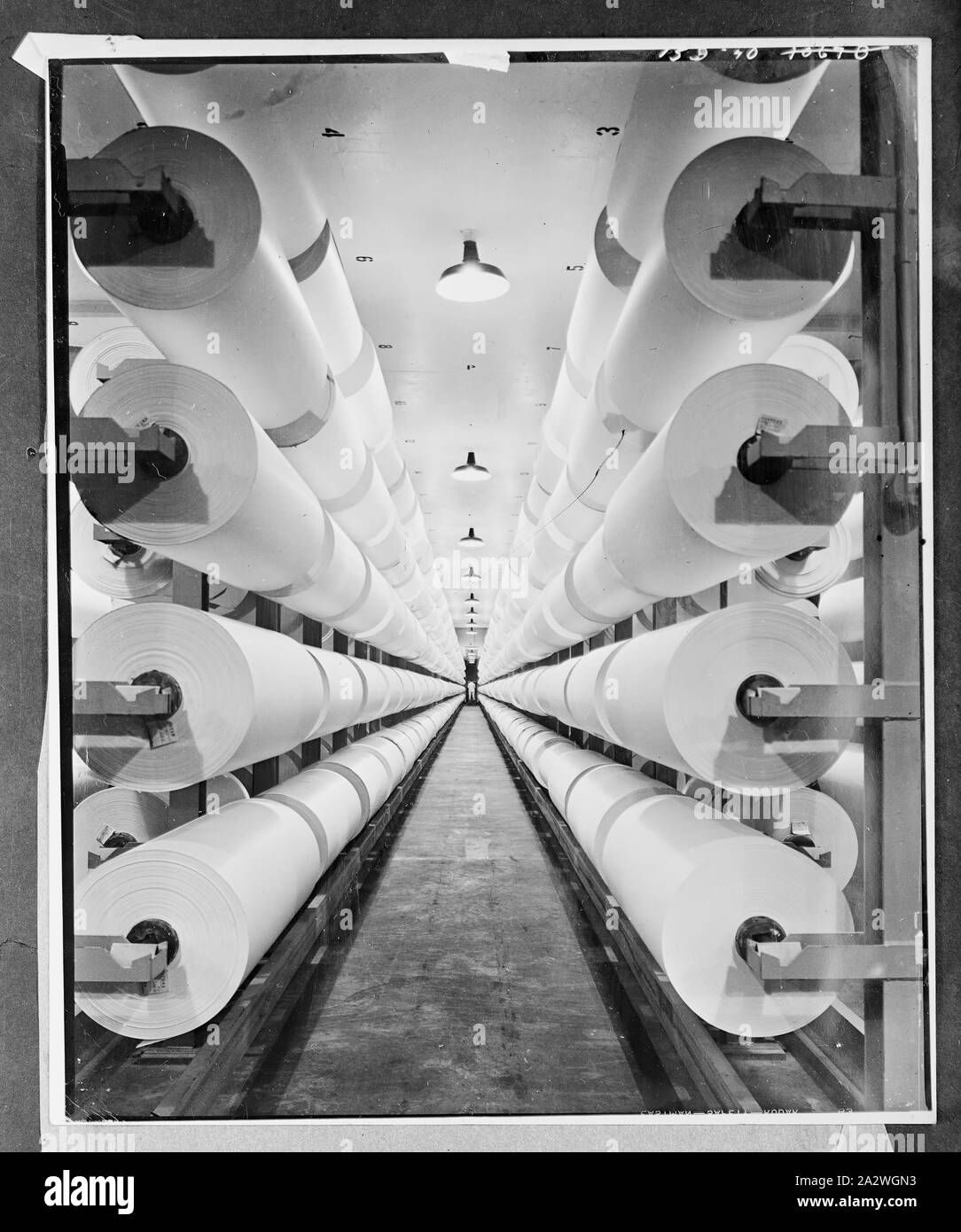 Glass Negative - Eastman Kodak, Rolls of Paper in Building 57, Kodak ...