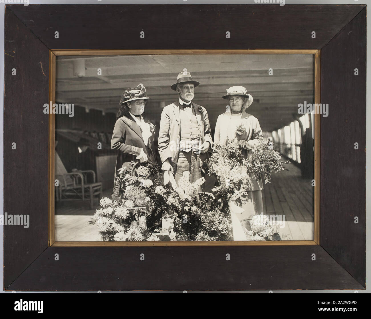 Sister in law eleanor shaw hi-res stock photography and images - Alamy