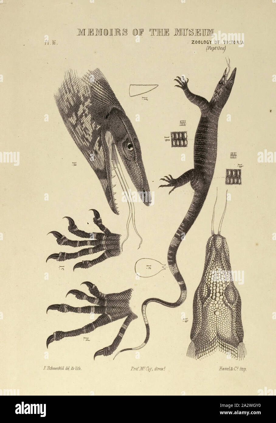 Ink and colour paper hi-res stock photography and images - Alamy