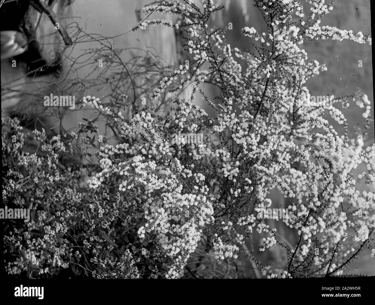 Fumina hi-res stock photography and images - Alamy