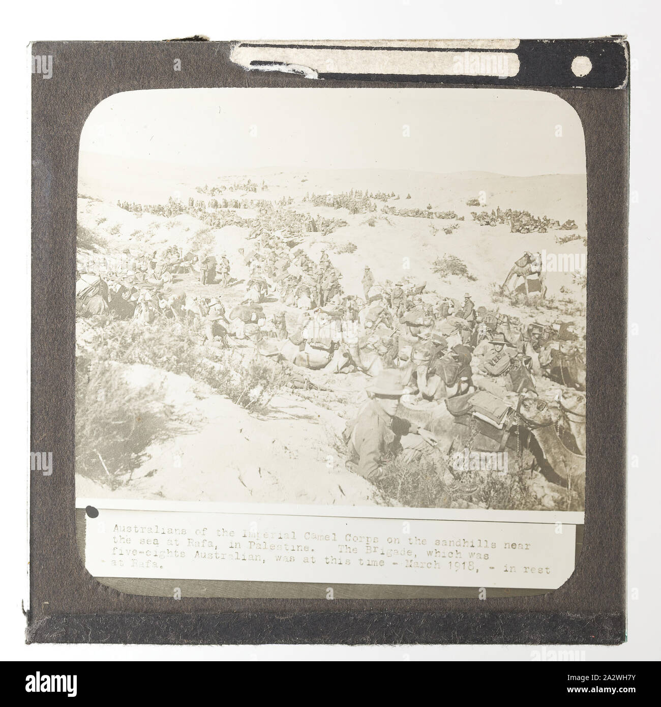 Lantern Slide - Australians of the Imperial Camel Corps in Palestine ...
