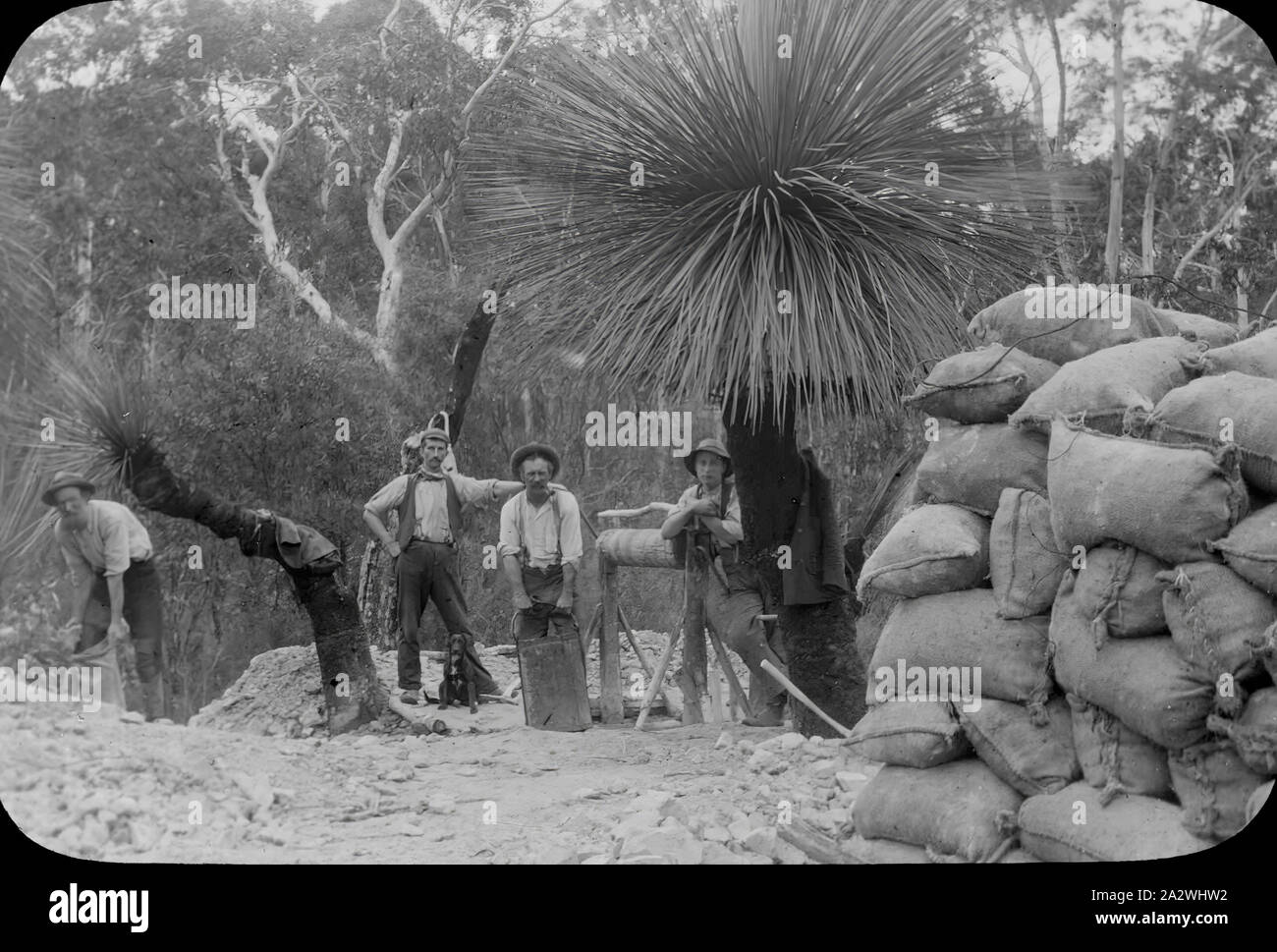 Lantern Slide - Gold Mine, Grampians, Victoria, 1906, Black and white ...