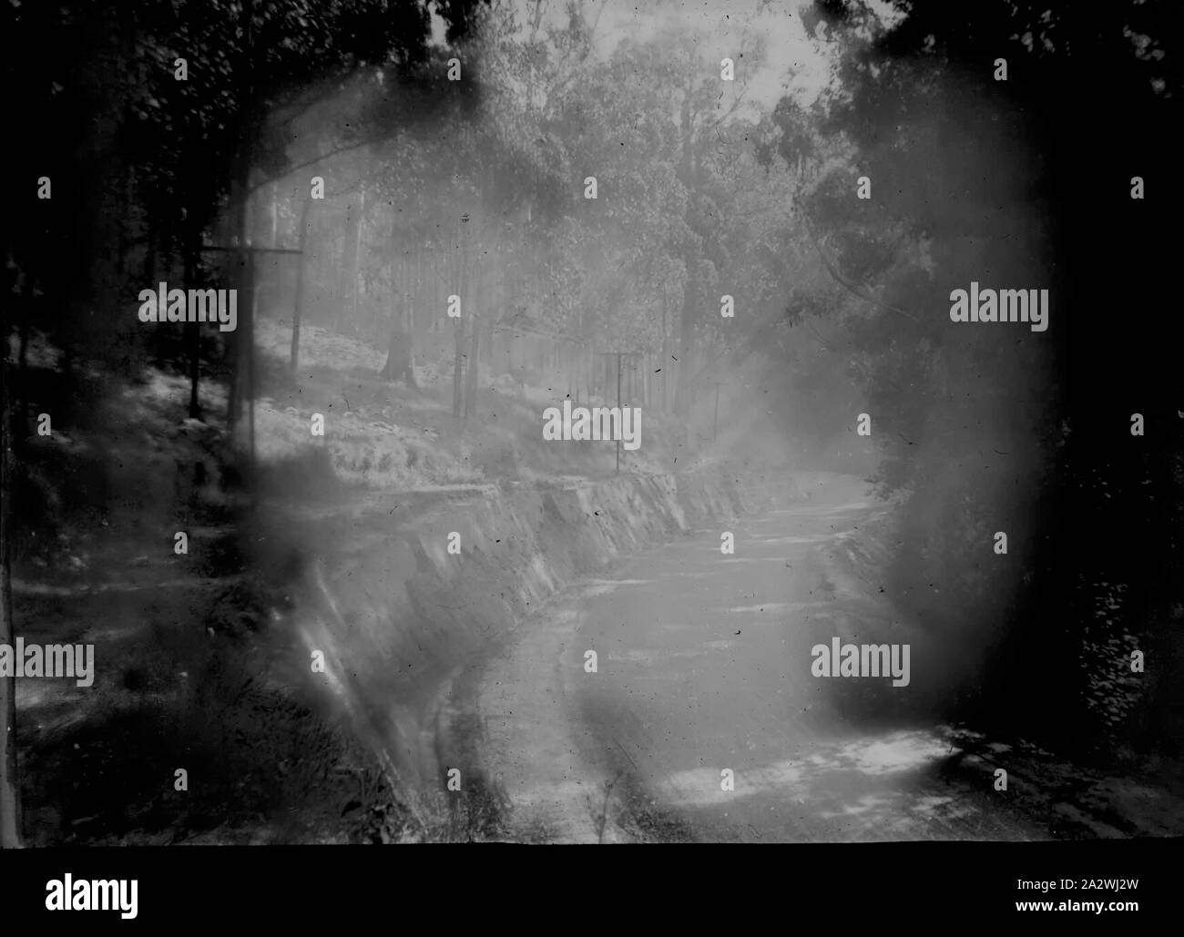 Lantern Slide - Kallista Road, Kallista, Victoria, 1918, Black and ...