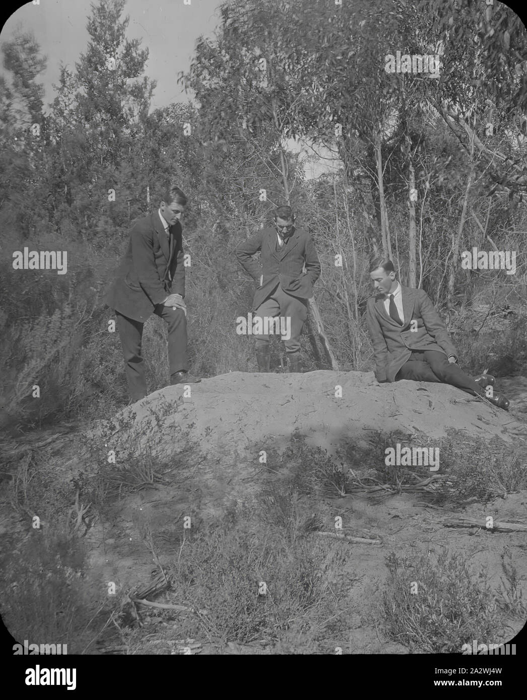 Lantern Slide - Mallee Hen's Mound, Little Desert, Victoria, Date ...
