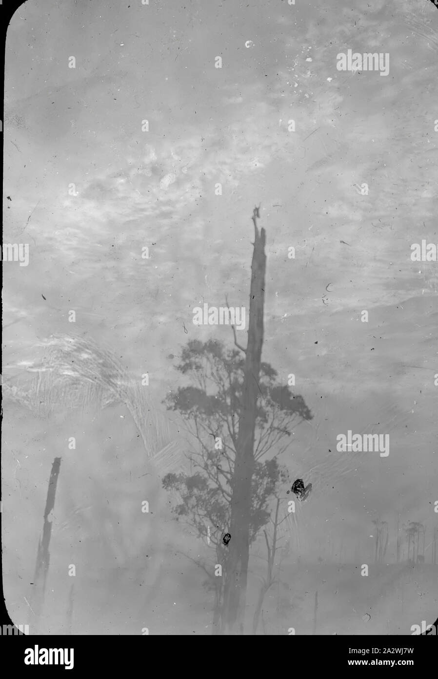 Black white image standing hi-res stock photography and images - Alamy