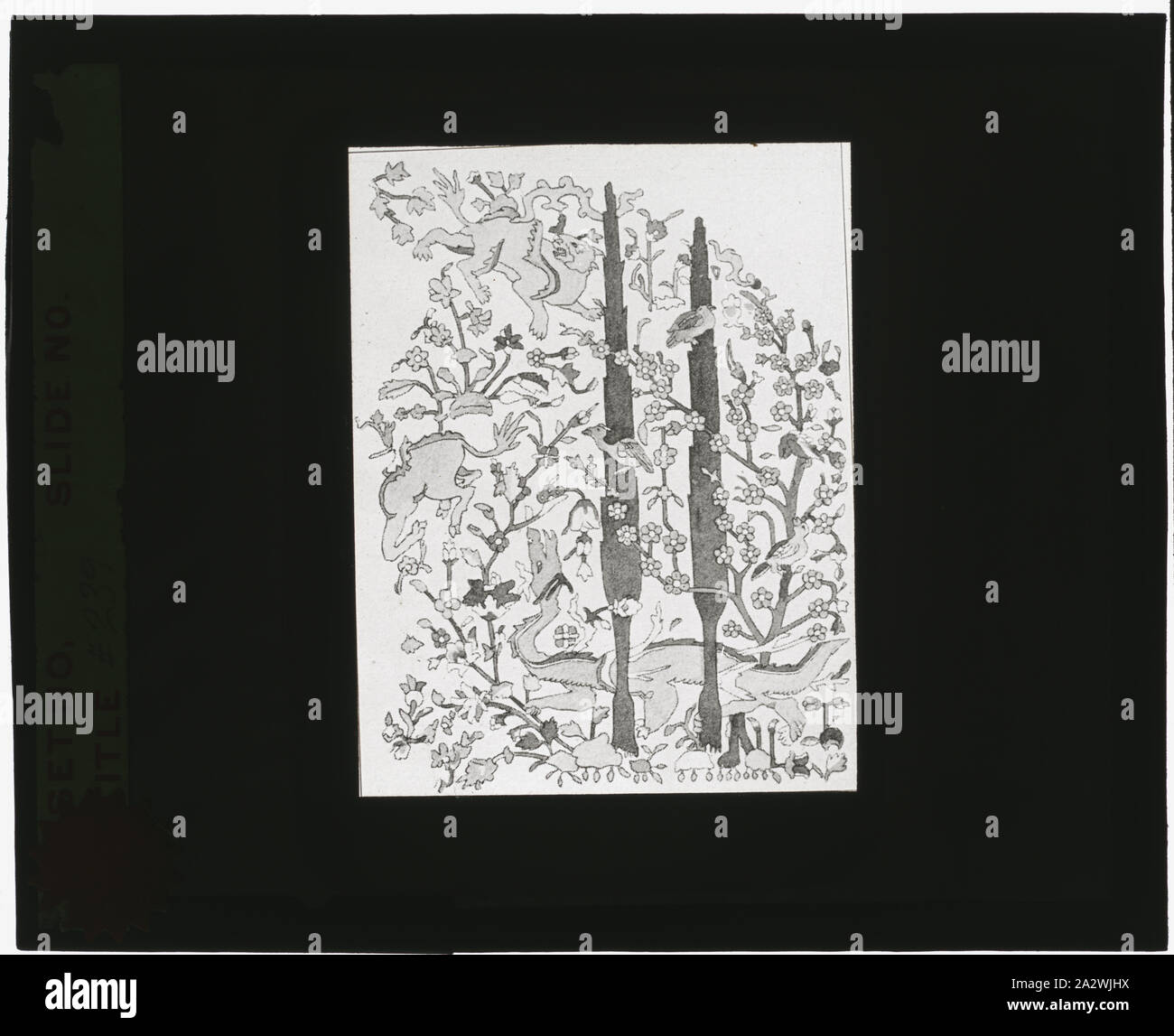 Reproduction of illustration showing a dragon, cypress, and blossoming ...