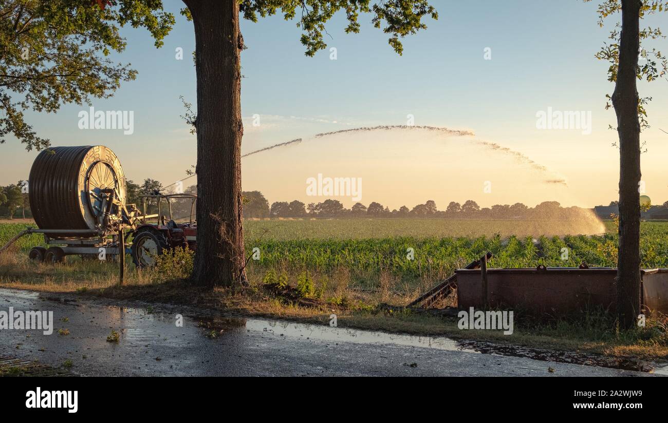 Pivot sprinkler cornfield hi-res stock photography and images - Alamy