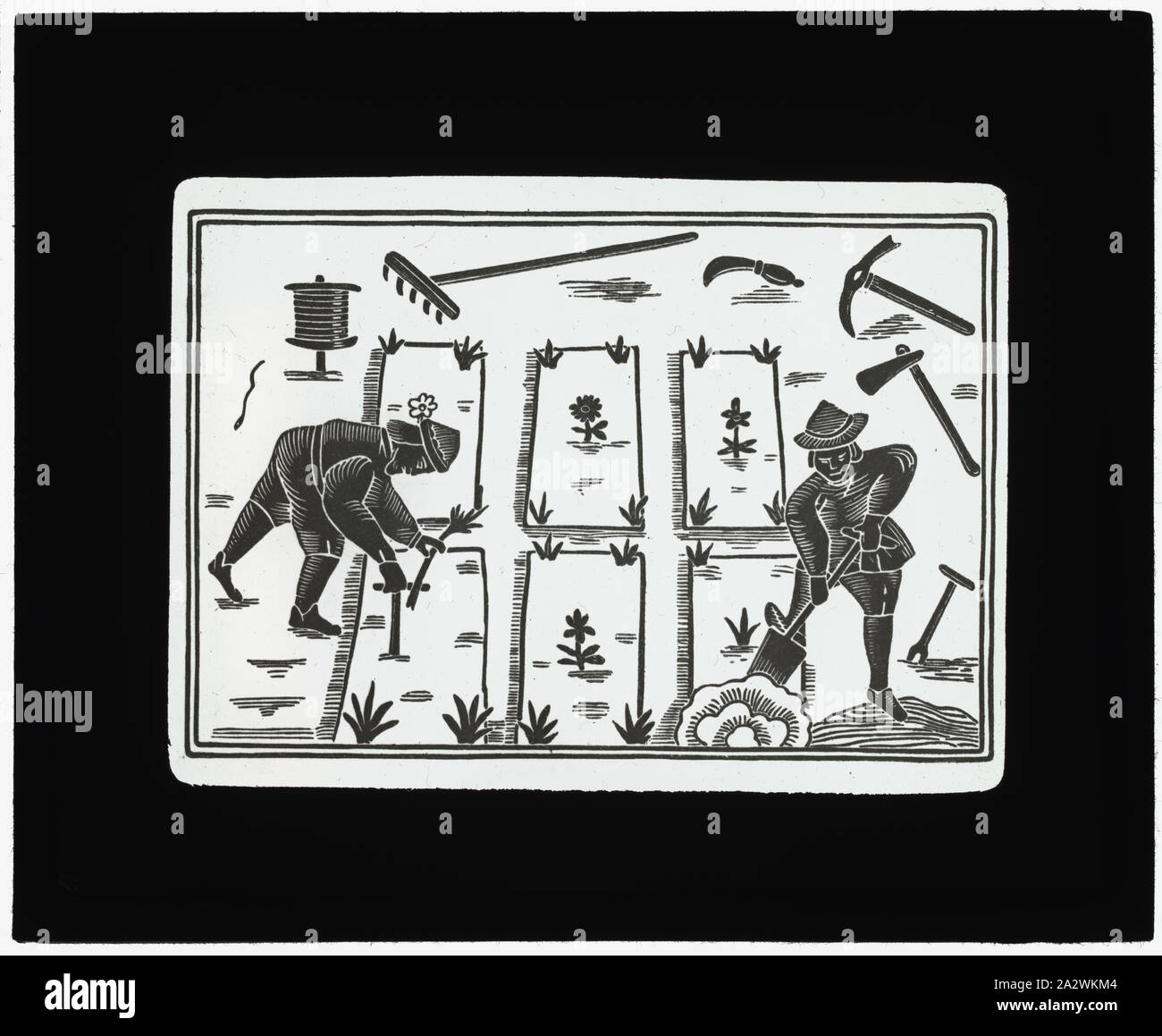 Reproduction of print showing Raised Beds and Sparce Planting Stock ...