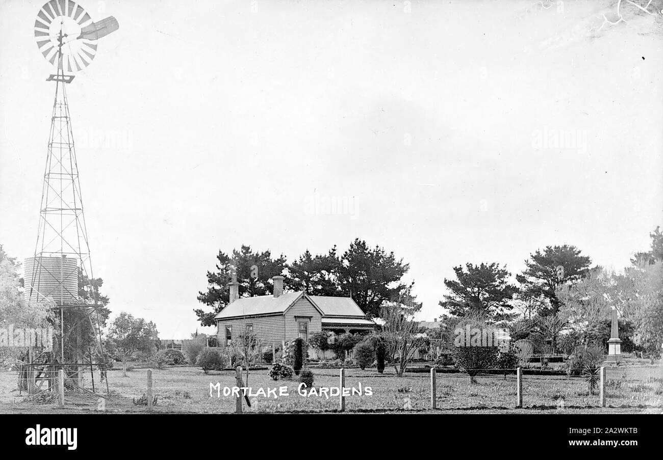 Negative - Mortlake, Victoria, circa 1910, The Mortlake gardens. There ...