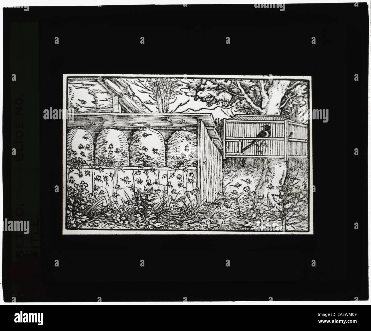 Reproduction of print showing apiary Stock Photo - Alamy