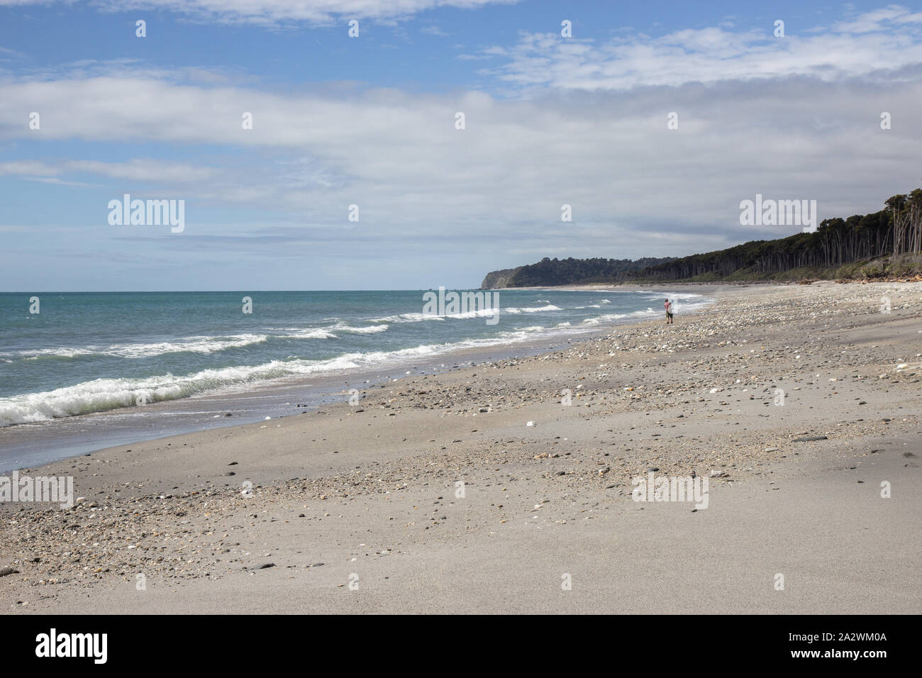 Bruce bay new zealand hi-res stock photography and images - Alamy