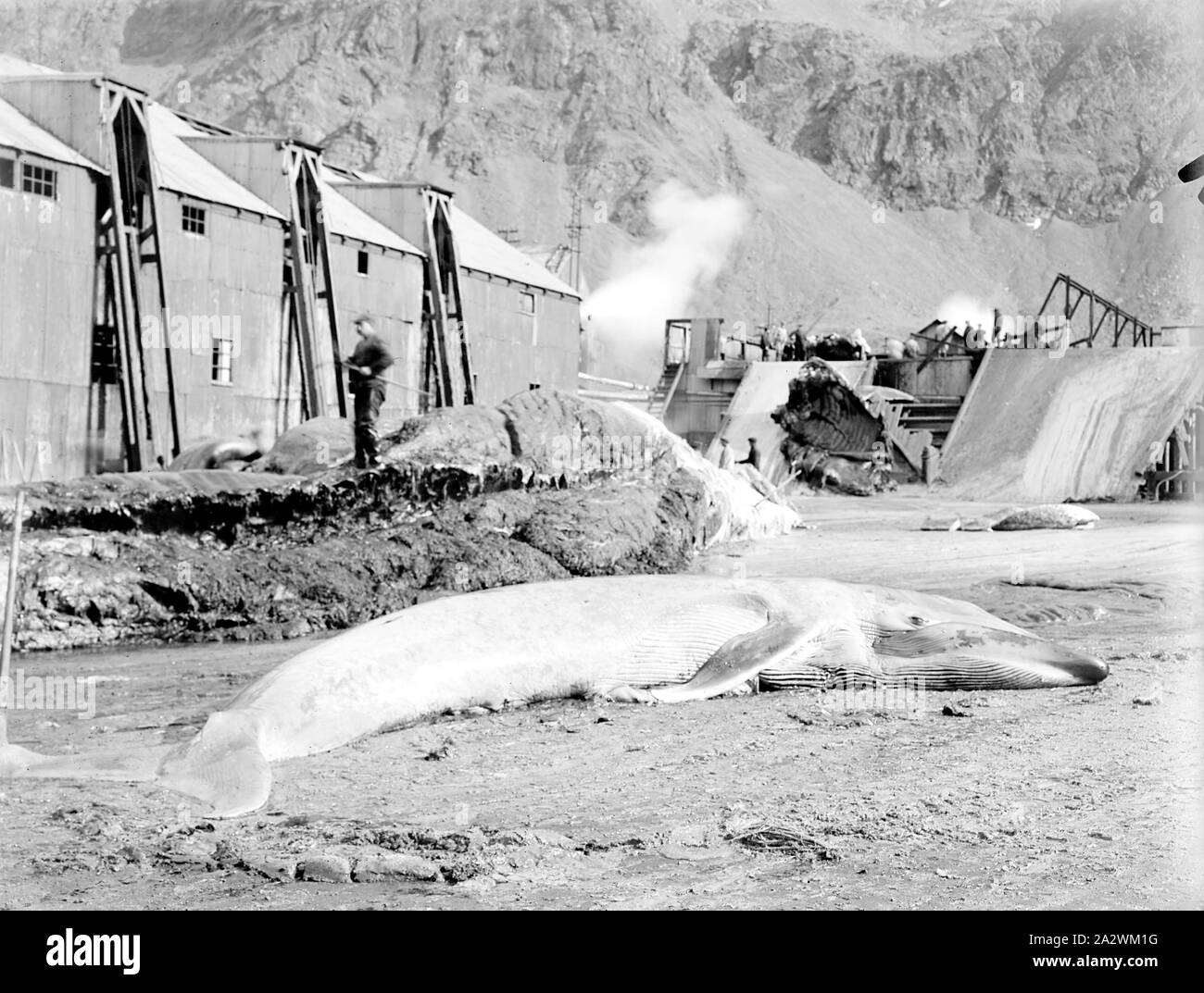 1920s scientific hi-res stock photography and images - Alamy