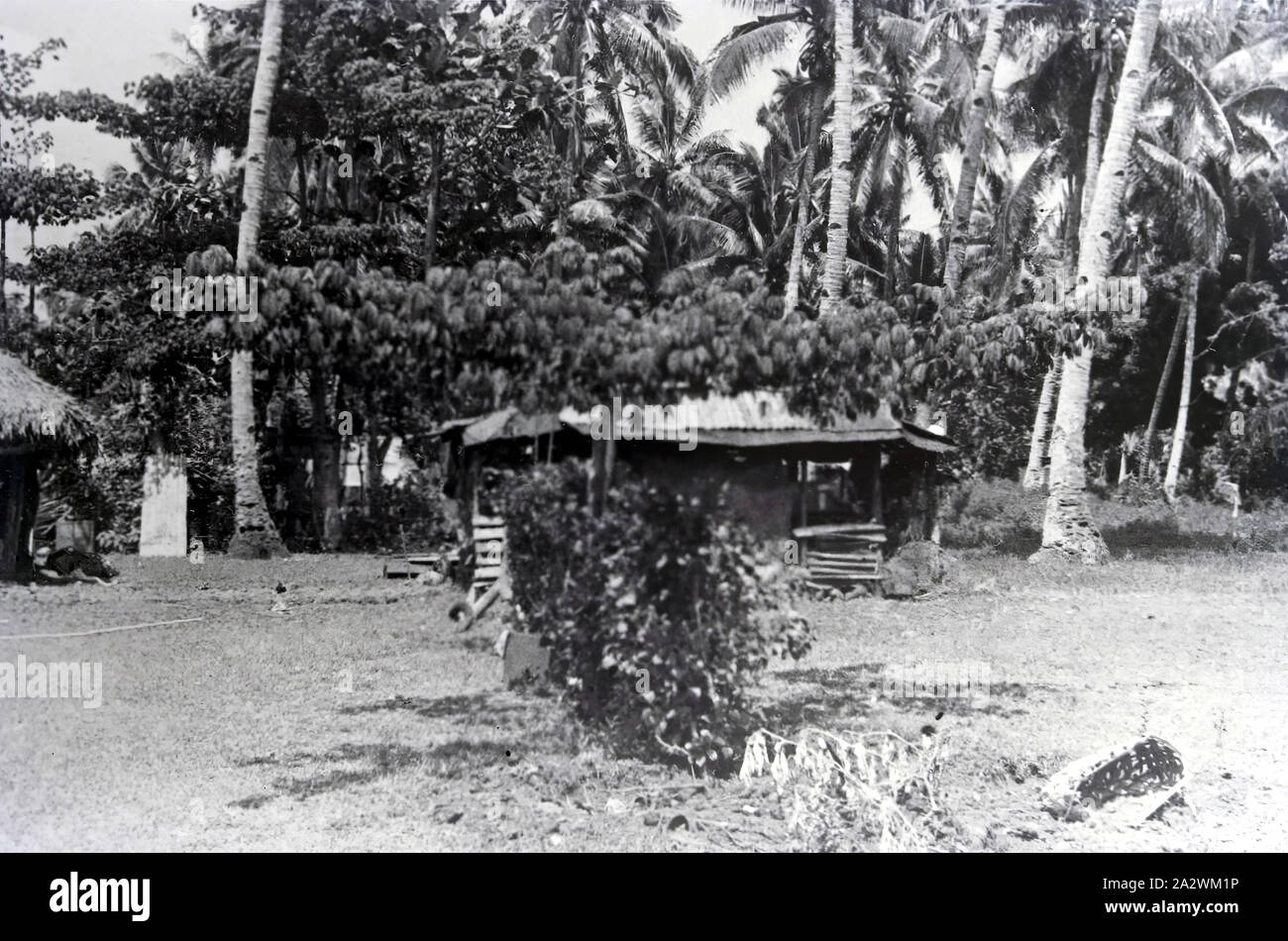Negative - Hut Exterior, Pacific Islands, circa 1930s, Negative ...