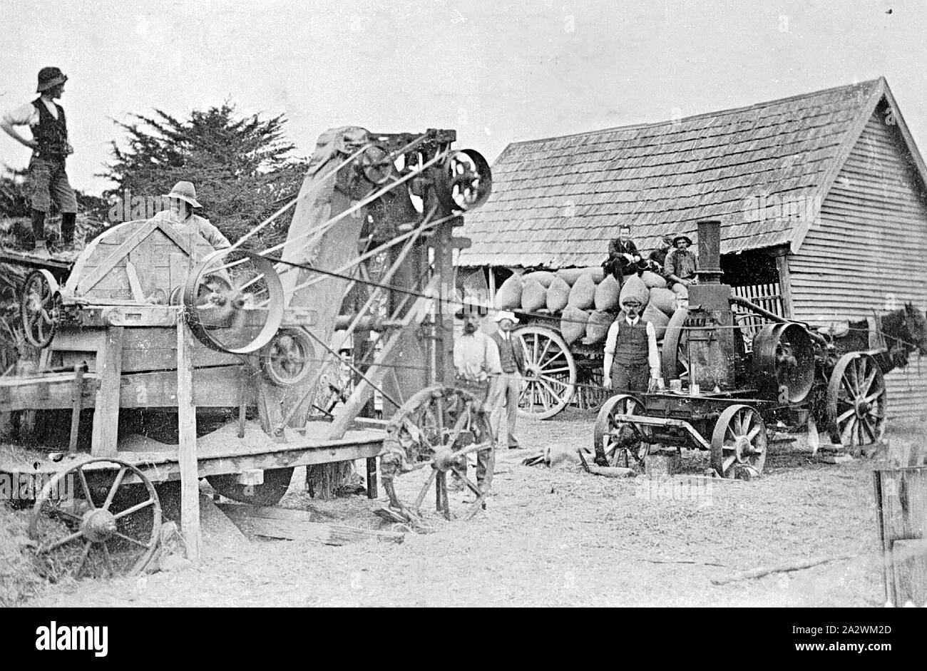 Negative - Hornsby Oil Engine & Chaff Cutter, 'Amphitheatre' Station ...