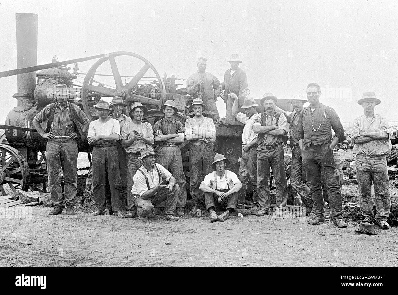 Negative - Steam Traction Engine & Work Team, Port Fairy, Victoria ...