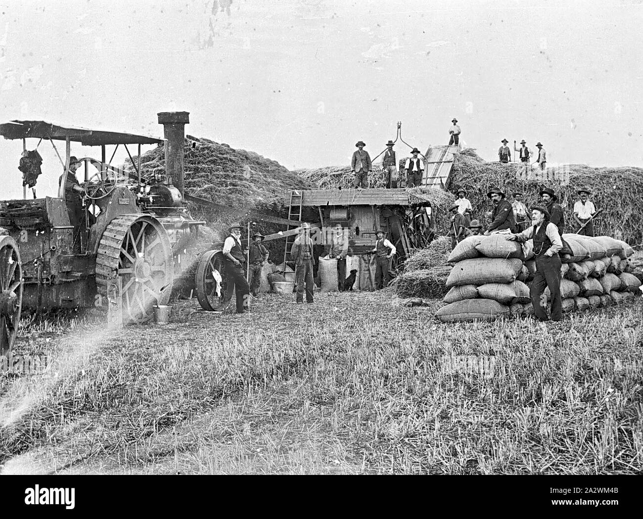 Men bagging grain hi-res stock photography and images - Alamy