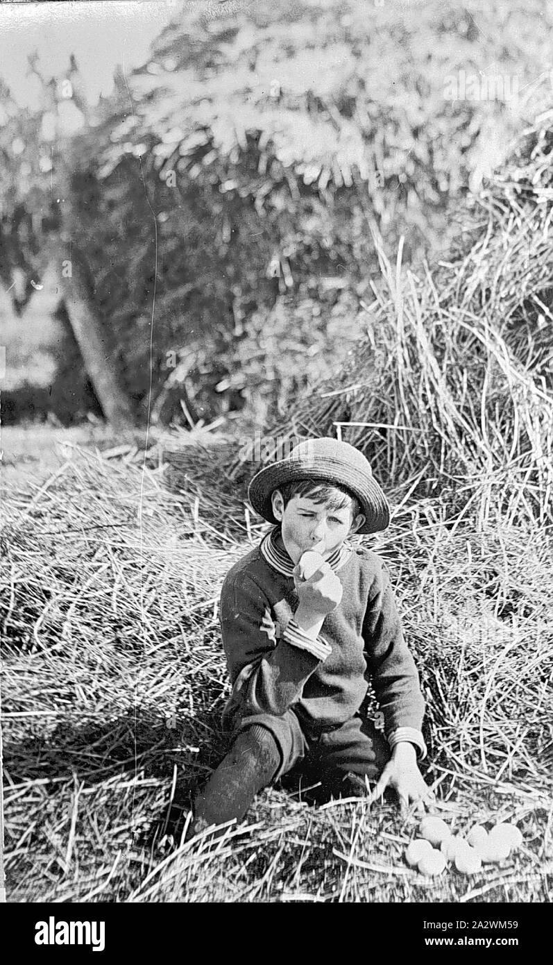 Negative - Boy Seated in Haystack Sucking an Egg, Merrigum, Victoria ...