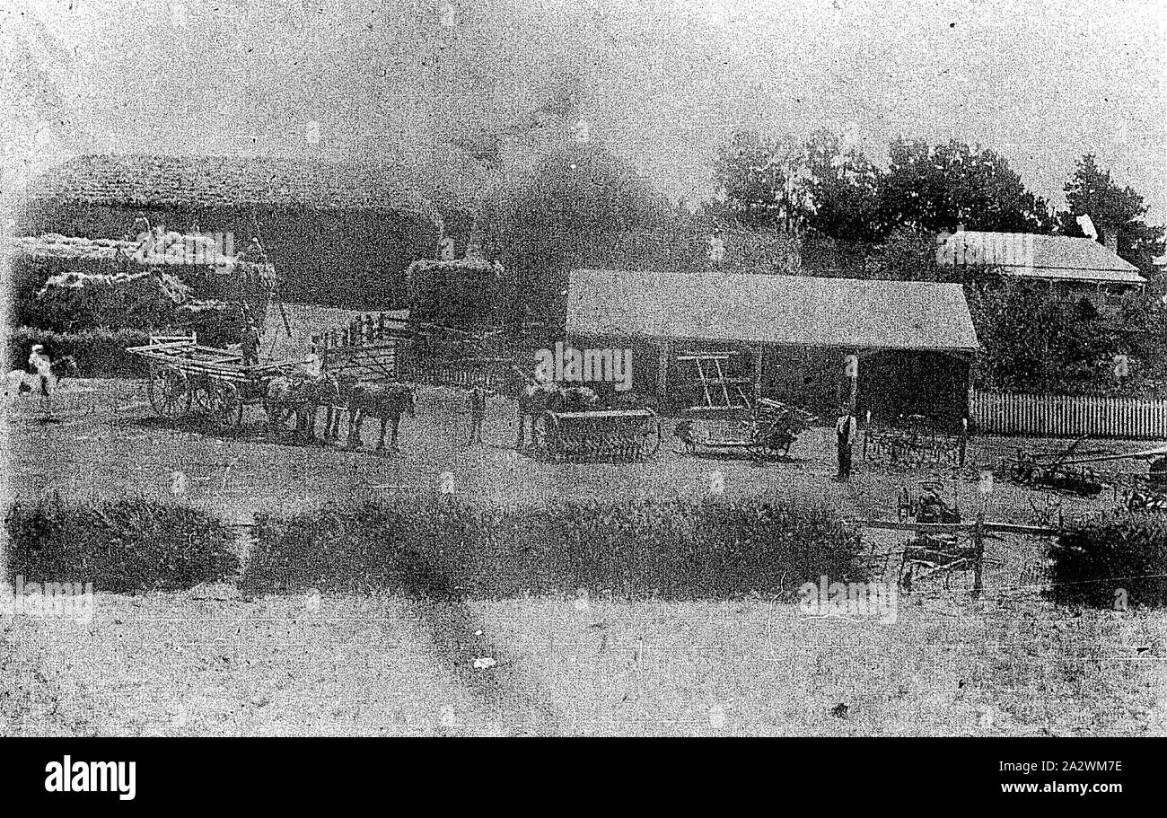 Negative - Farm Yard With Horses, Carts, Haystacks & Outbuildings ...