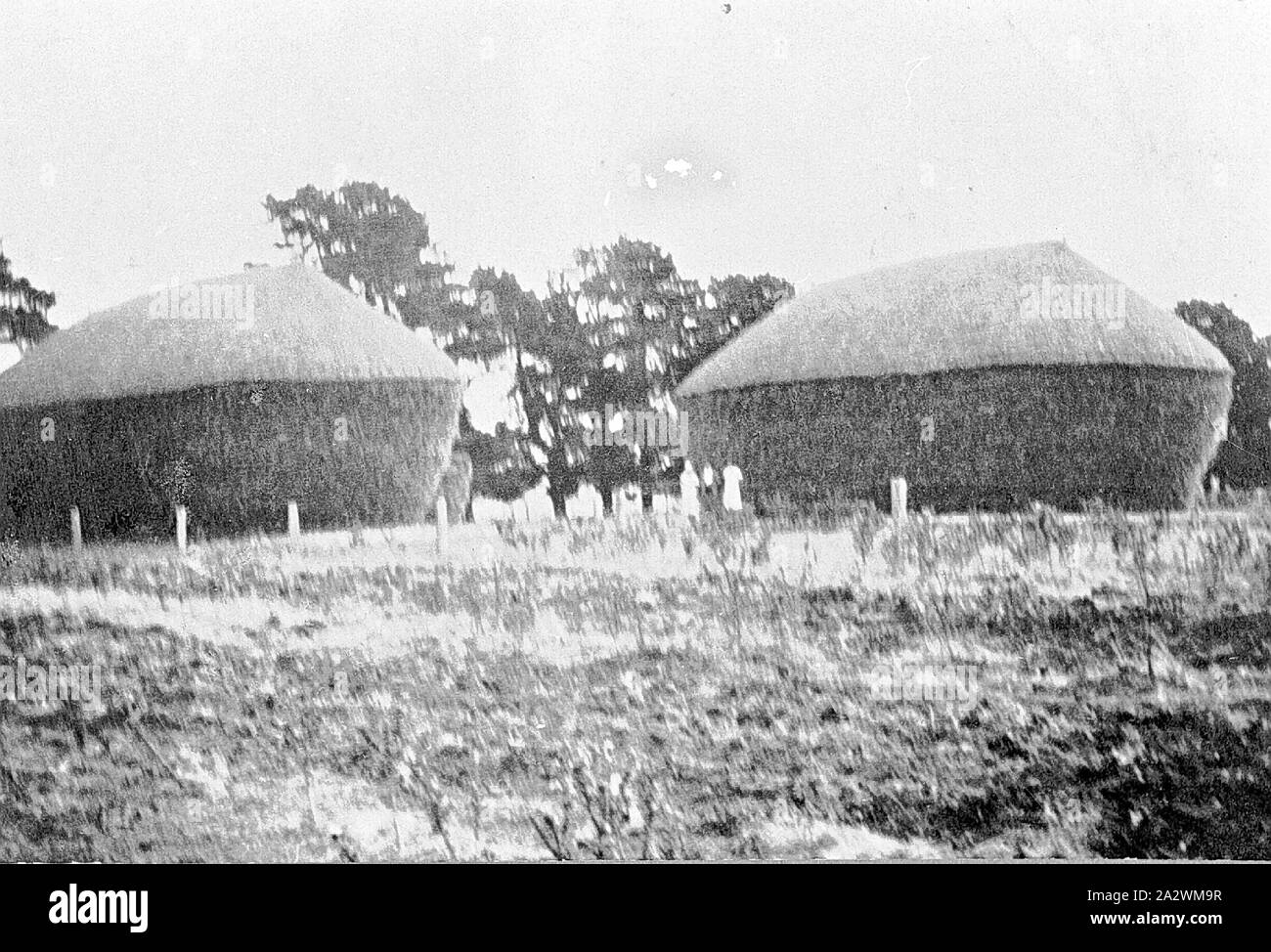 Negative - Haystacks at 'Fermoyne' Station, Ullina District, Victoria ...