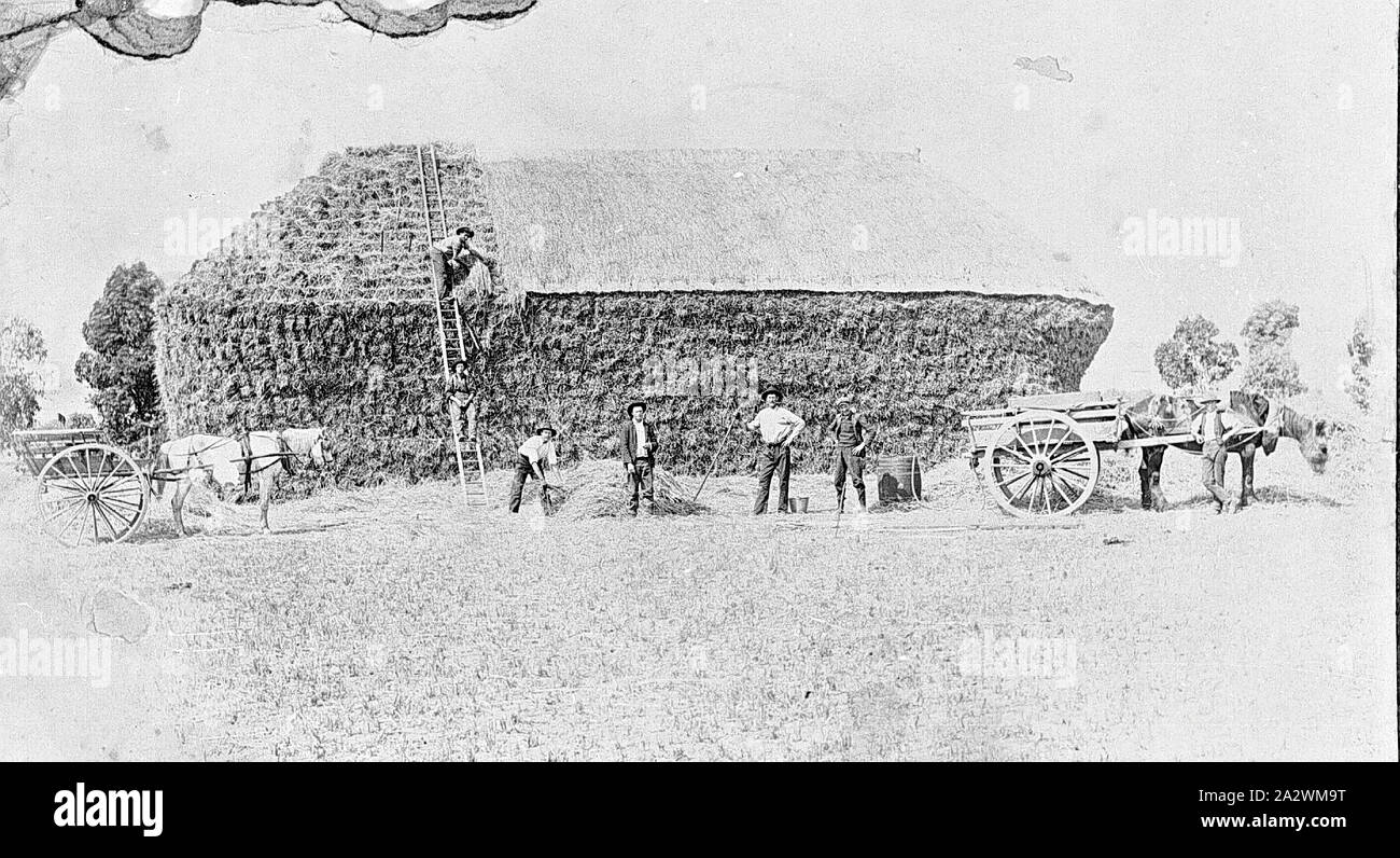 Men thatching haystack hi-res stock photography and images - Alamy