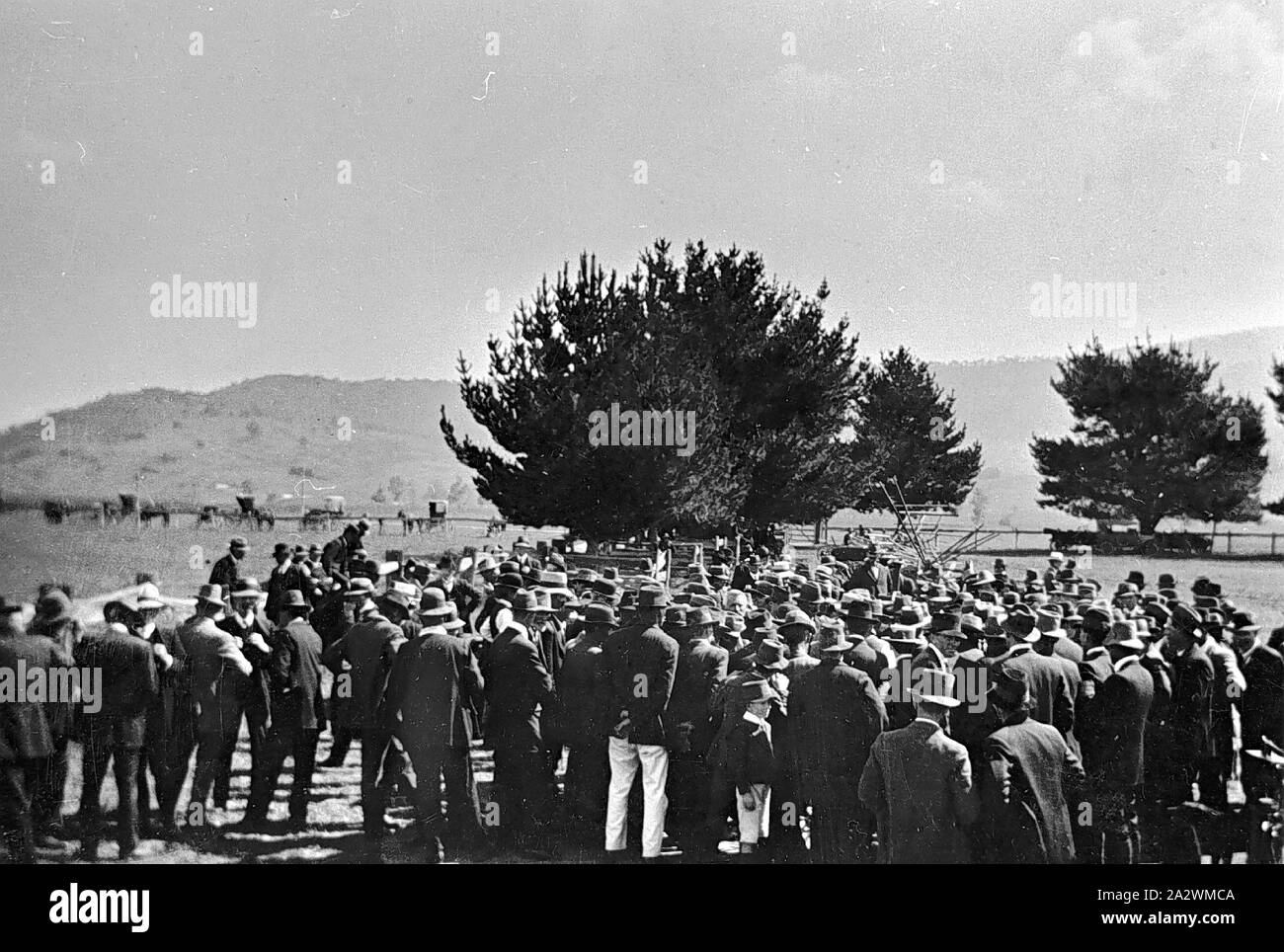 Negative - Clearing Sale at 'Happy Valley' Homestead, Myrtleford ...