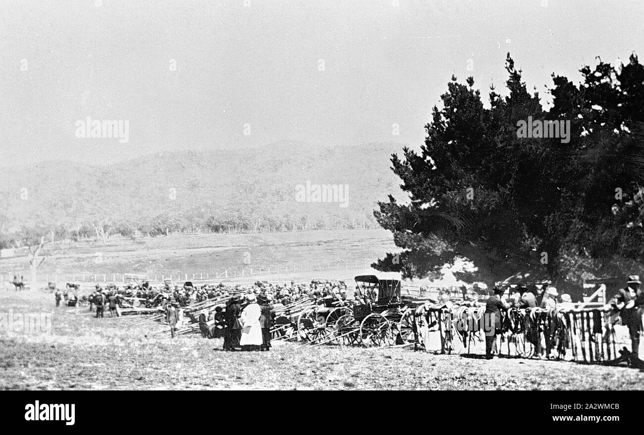Negative - Sulky & Other Horse-Drawn Vehicles at 'Happy Valley ...