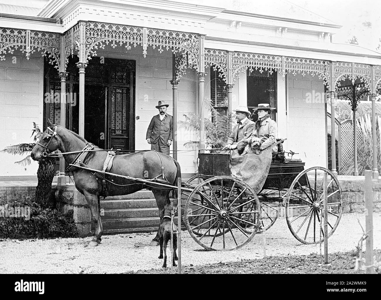 Negative - Mr & Mrs J.G. Affleck in a Horse & Buggy Outside Their Home ...