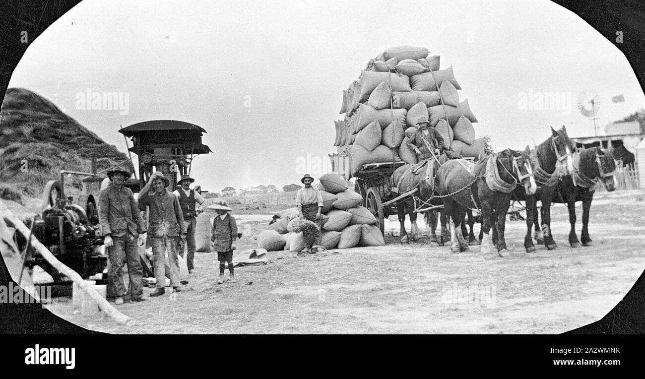 Negative - Gillett Family With Chaff Cutter & Horse Team, Leigh ...